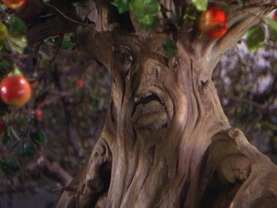 Treevenge Killer Christmas Trees Goes On Rampage To Kill Humans. My ...