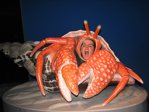 Crab Song That Includes Bleeding, Crabs In Sensitive Areas, And Crab ...