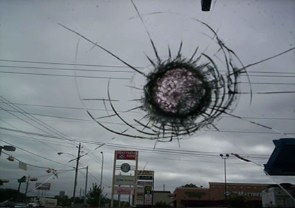 Tough Australian Headbutts Windshield of Car & Shows Off His Hard Head ...