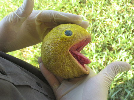 Real World 3-D Pac-Man Sculpture By DeviantARTist Kalapusa. Related To ...